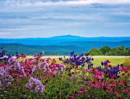 Storied Wedding Venue, Spectacular Setting... - East Dover, VT Inn for Sale