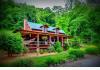 Butterfly Hollow - A Hidden Retreat - Photos