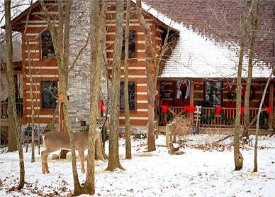 Kentucky Log Cabin - Photos