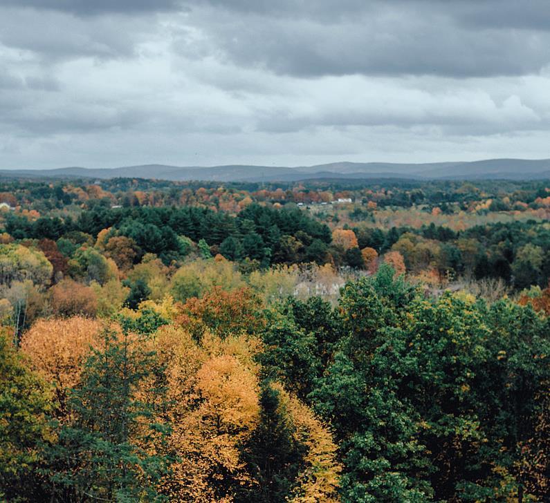 CT/MA BORDER HILLTOP MONEY MAKER! - Photos